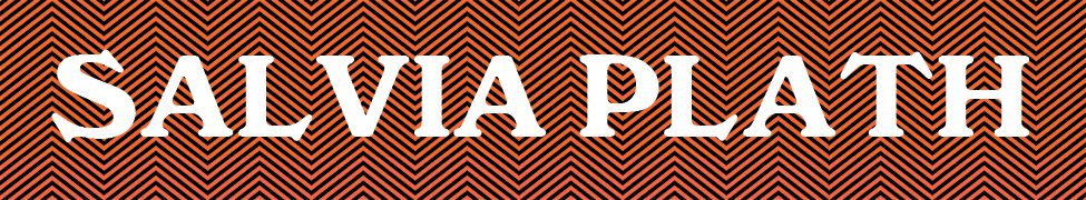 DREAMS | RUN DMT | Salvia Plath