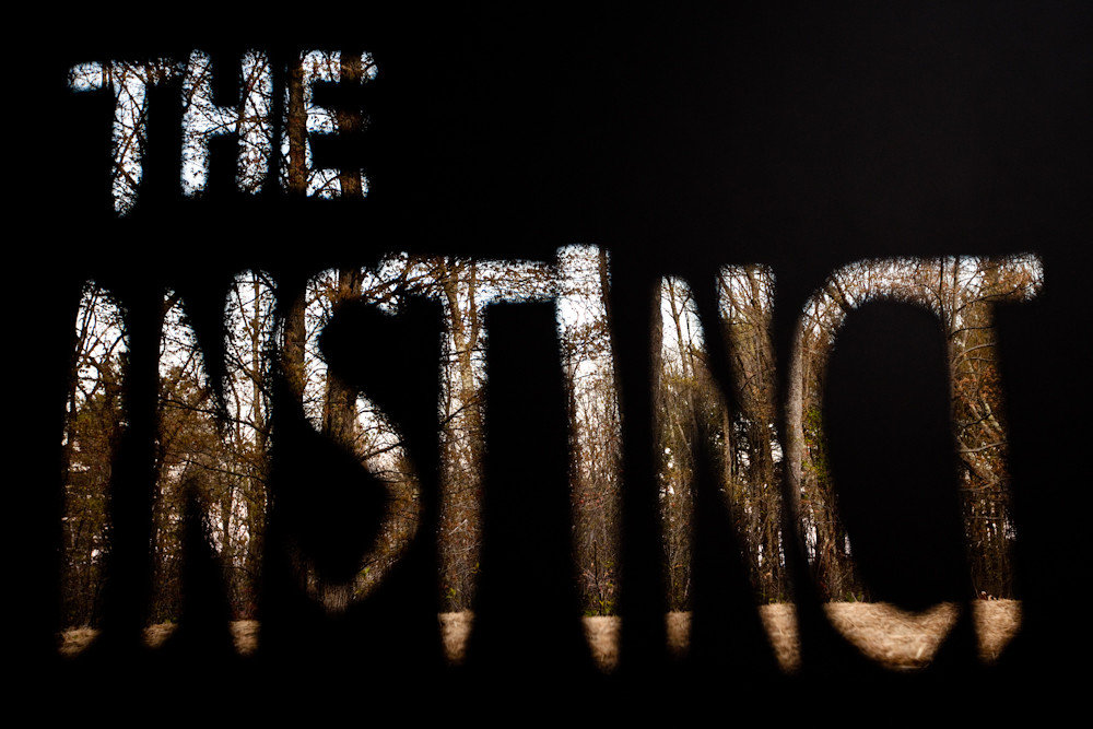 Mostly Awake | The Instinct