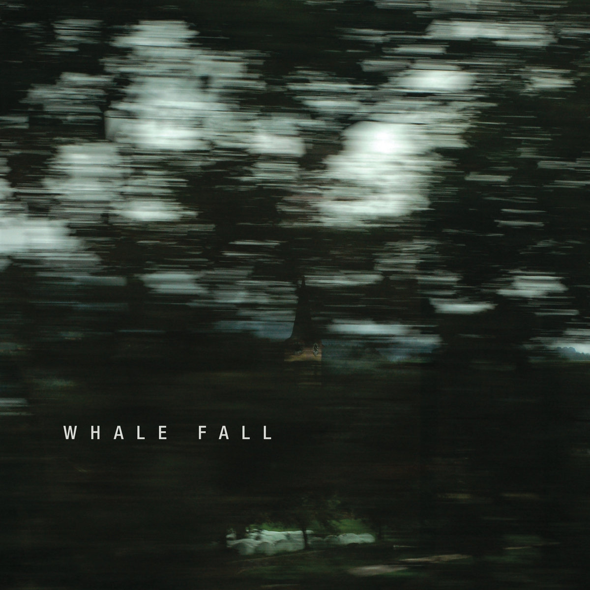 Whale Fall | Whale Fall