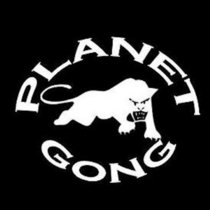 planetgong's collection | Bandcamp