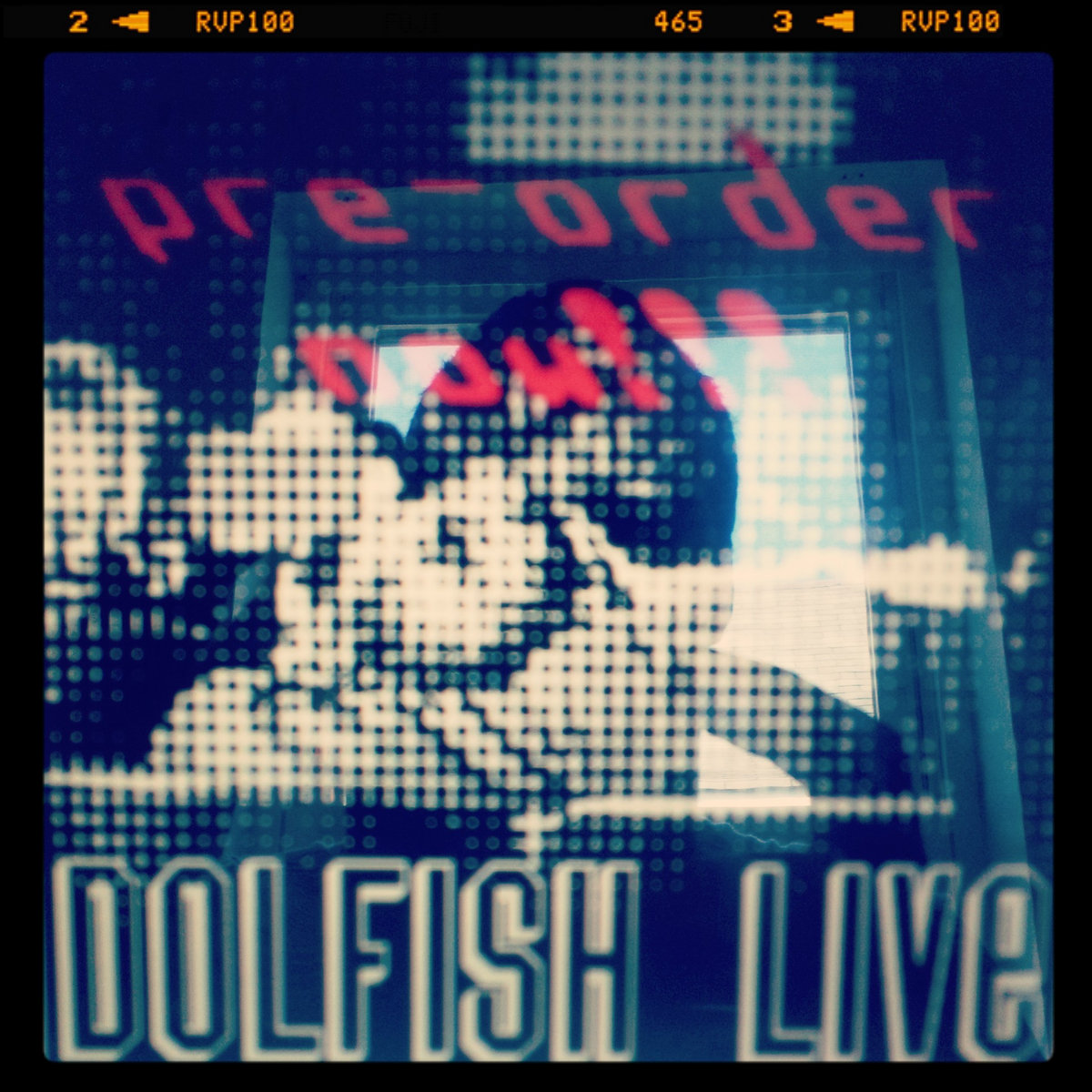 Dolfish Live | Dolfish