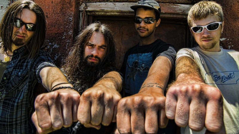 Live | the Buddy System