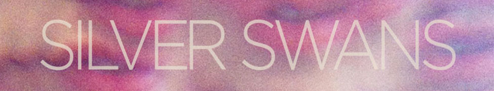 Forever | Silver Swans