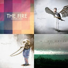 Frailty (Remastered) | Tim Coons