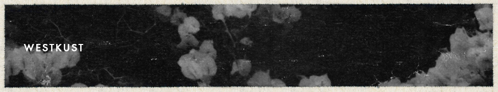WESTKUST | WESTKUST