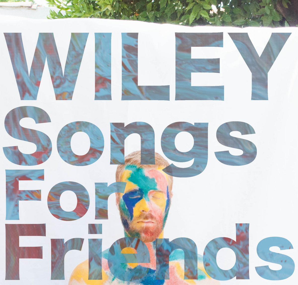 Inside the Fort | Wiley