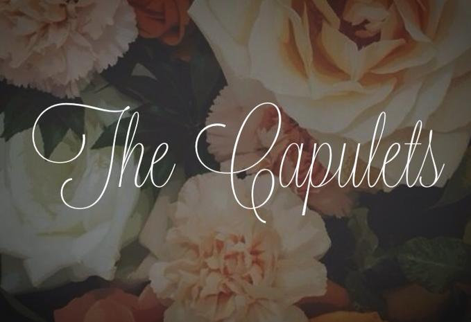 Taylor Swift Demo | The Capulets
