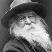 rogerhuddle's collection | Bandcamp