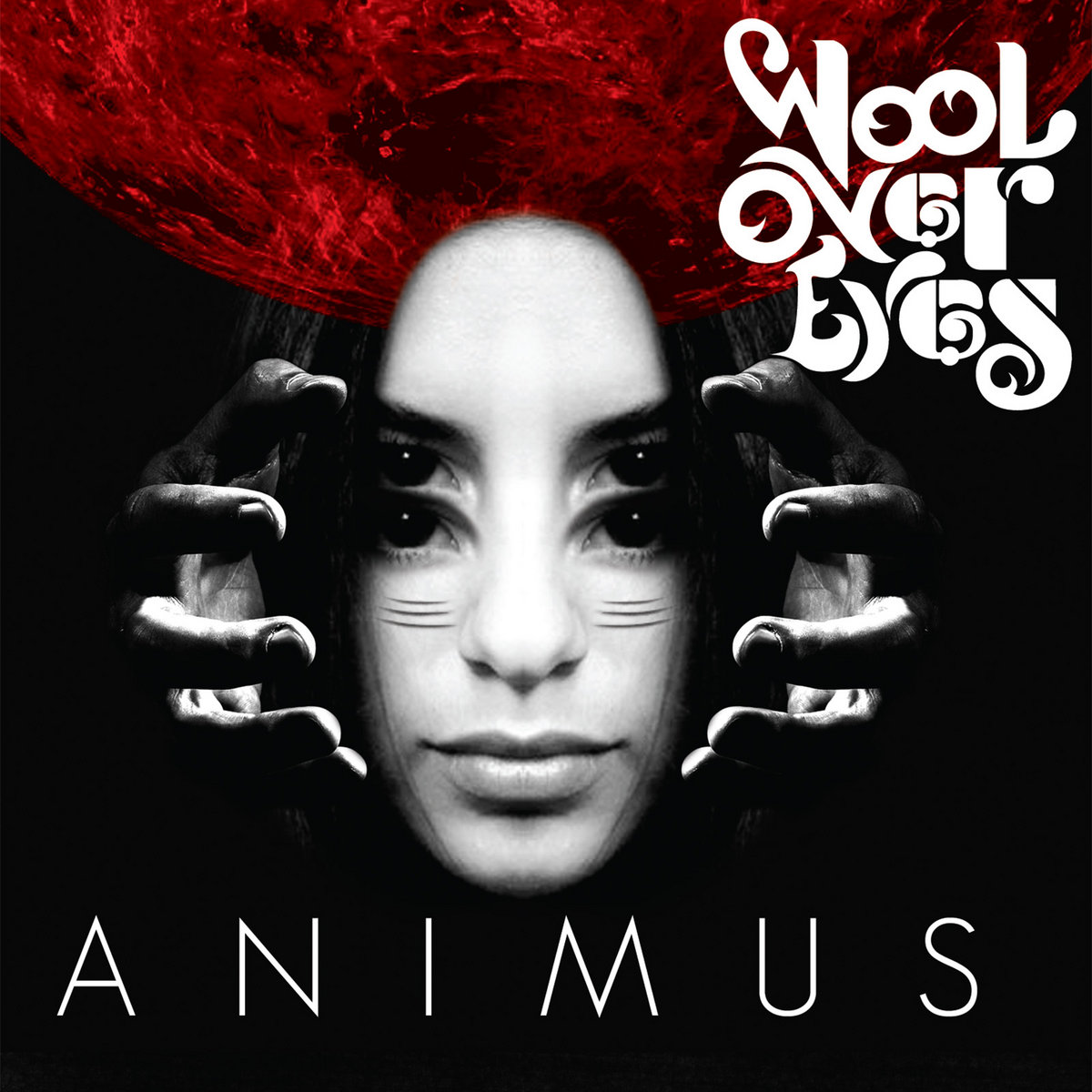 Animus | Wool Over Eyes