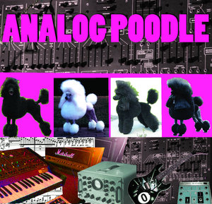 Music | Gordon Raphael