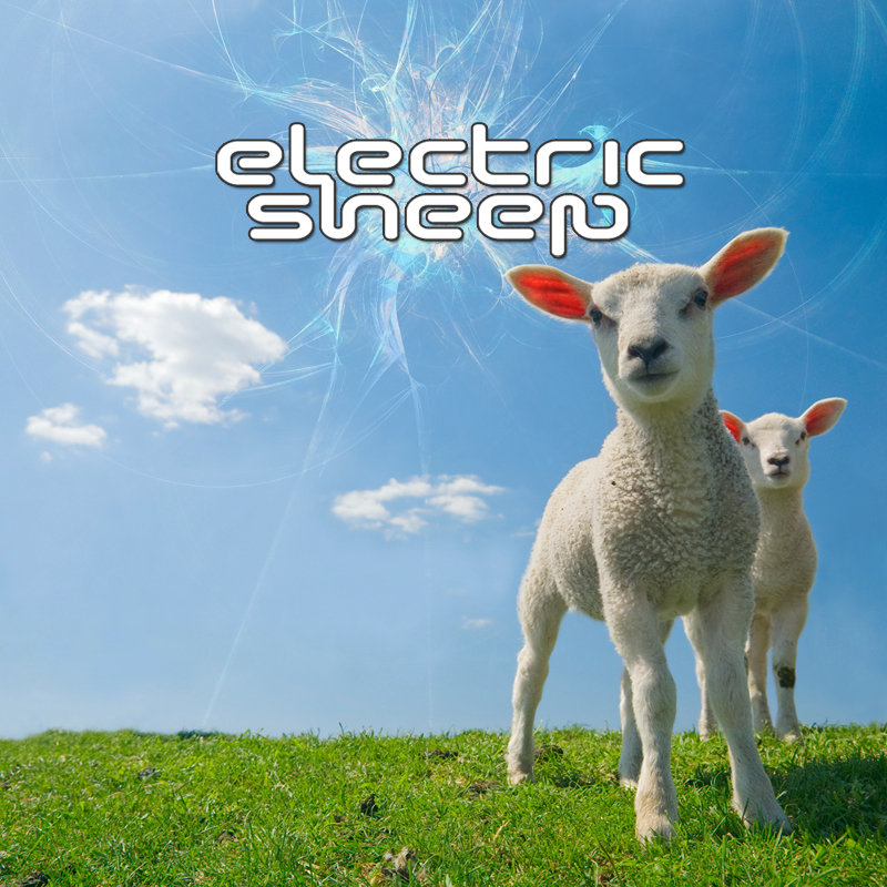 Music | Electric Sheep