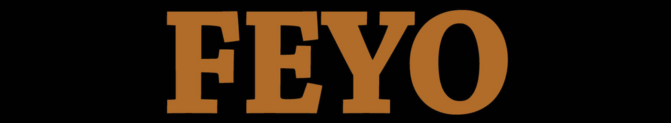 Understatements EP | Feyo