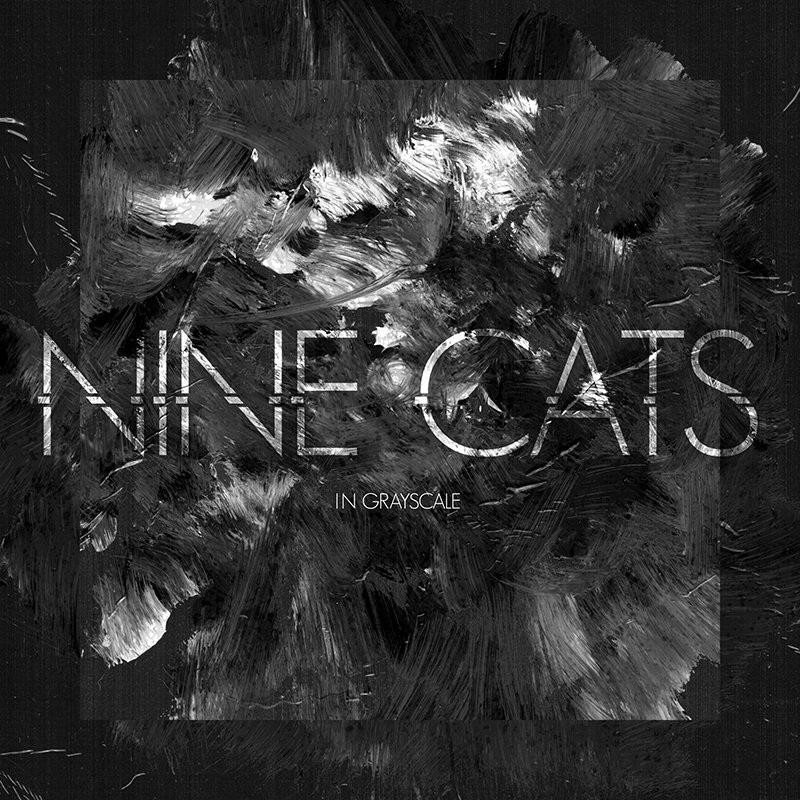 In Grayscale | Nine Cats