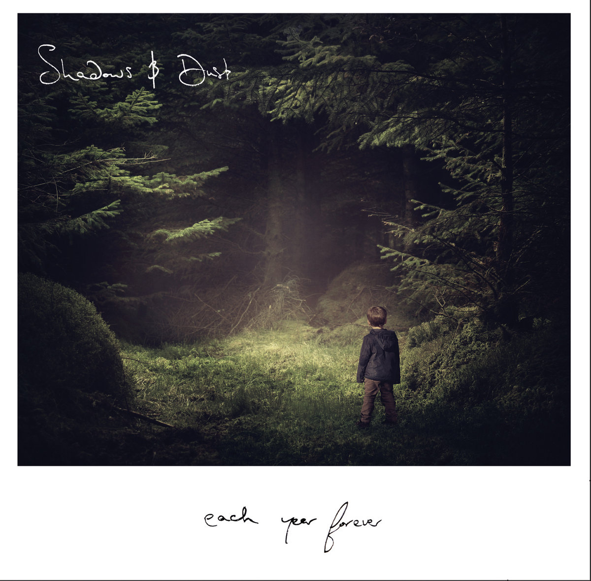 Music | Shadows and Dust