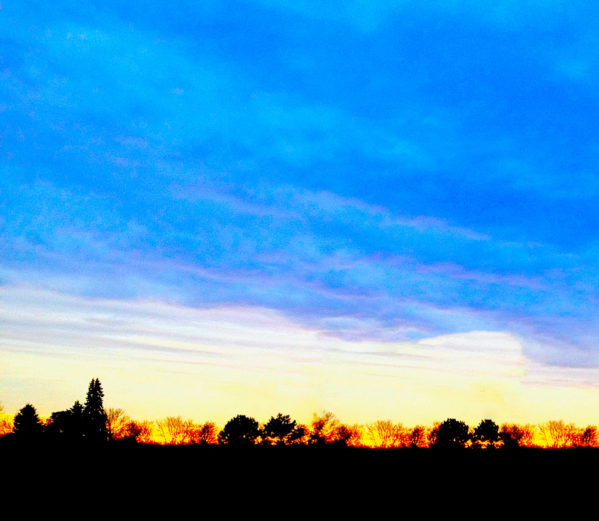 The Resonance of Love | Rodney Jones