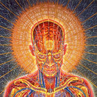 7 Songs For Spiders | Dax Riggs