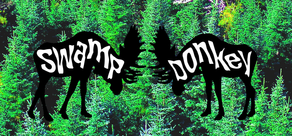 Dig Myself a Grave | Swamp Donkey