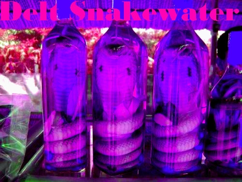 Delt Snakewater | Delt Snakewater