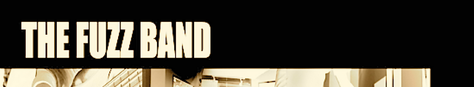 HI LOW | FUZZ BAND /D*Nik | THE FUZZ BAND