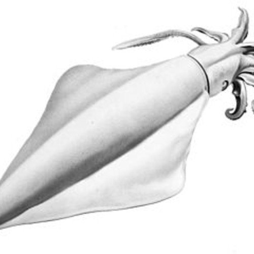 Necronomipod Vol. 1 | Teuthidae