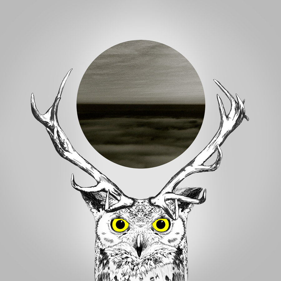 Tom Finigan | Mononoke