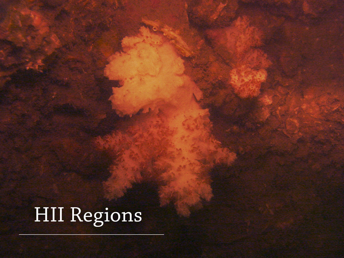 Hii Regions - NGC | HII Regions