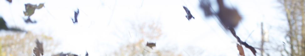 It Comes Down To The Nights | John Faraone