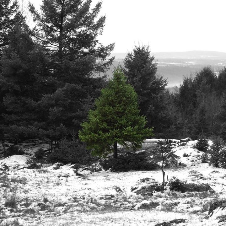 philippemorin's collection | Bandcamp