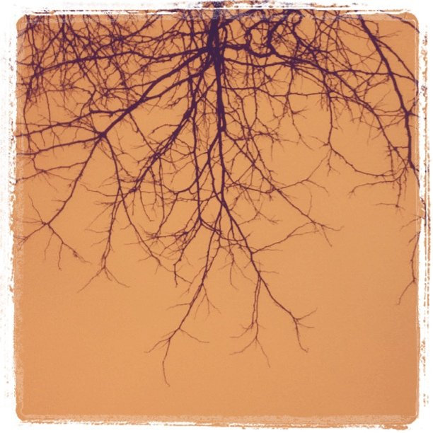 Ambient | Alexander Hinman