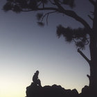 Alabaster Chamber | FOREVER GREY