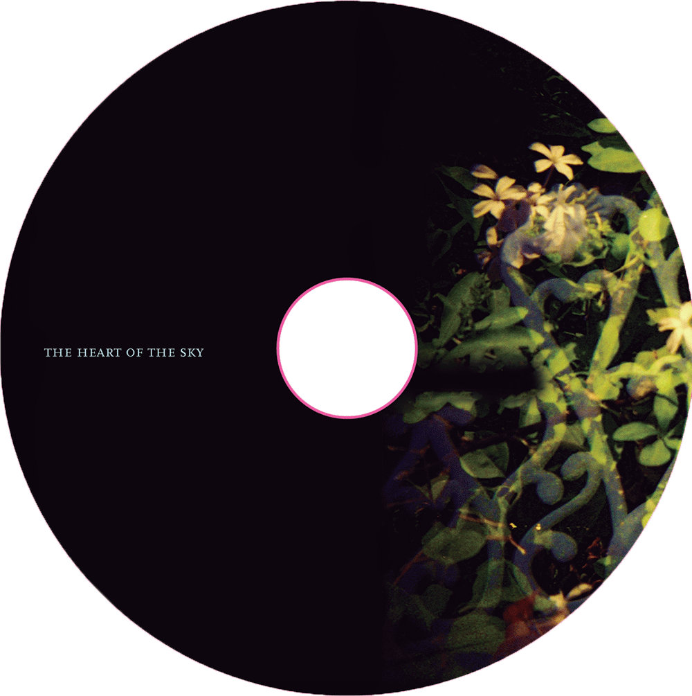 The Heart of The Sky - Expanded and Remixed CD Edition | Jeff Stonehouse