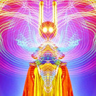 SERUS | Siavash Amini