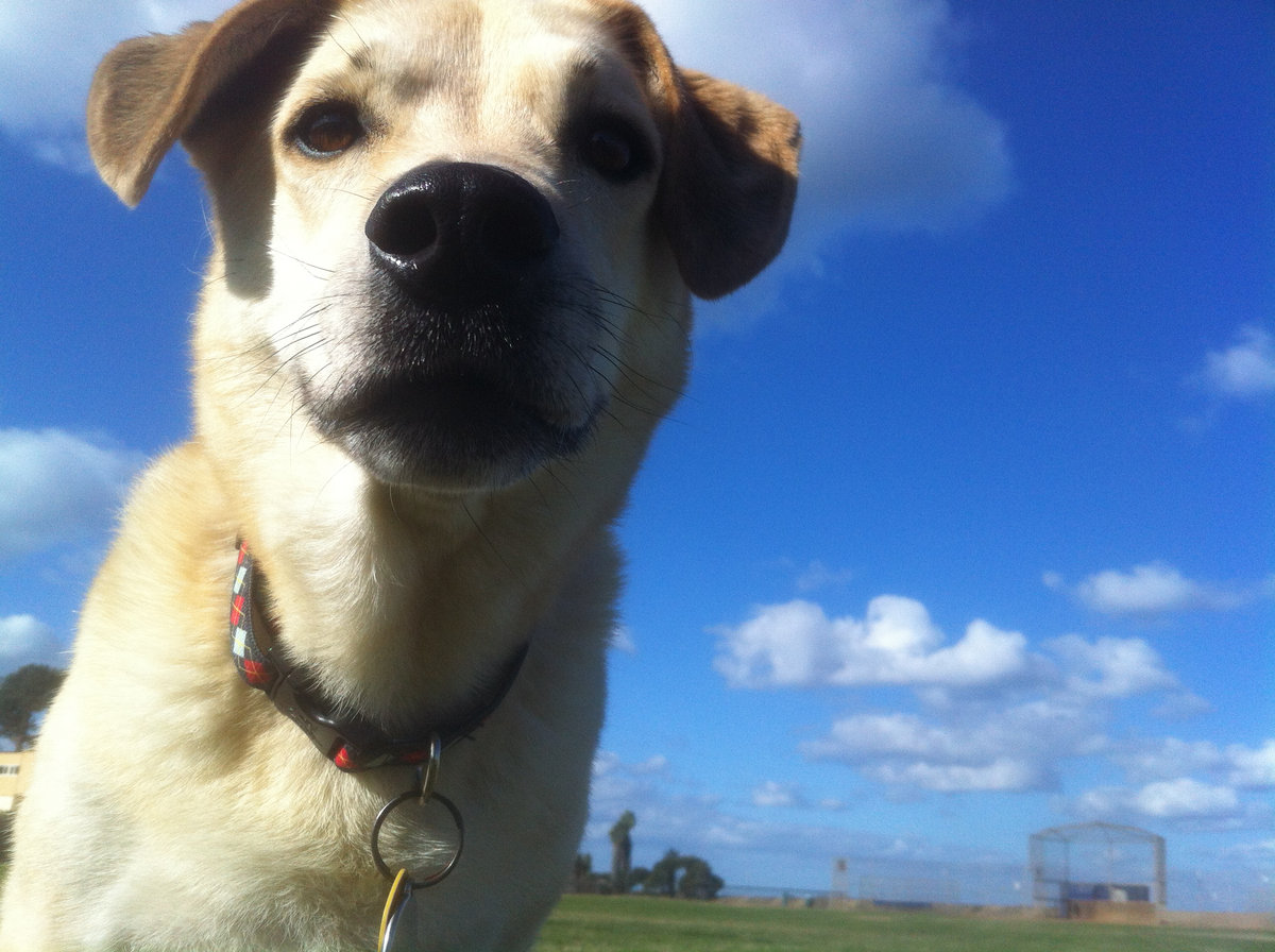 Tall & Skinny | Colin Swinney