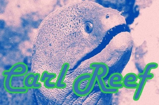 The Great Barrier EP | Carl Reef