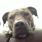 Mighty Sound | Tim Be Told