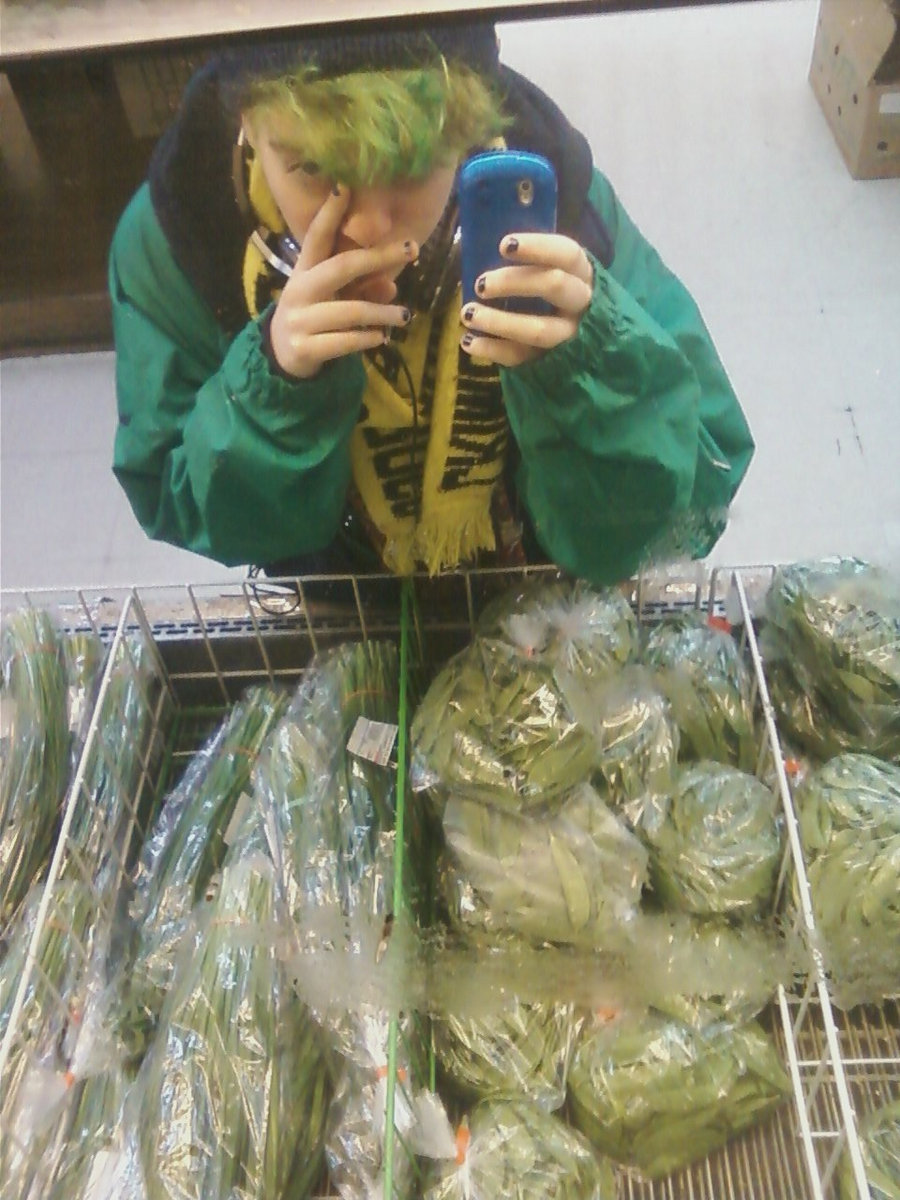 Dishwasher Song | CHiCK PEA