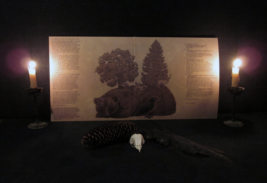 Braided Paths | novemthree