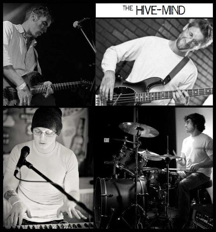 Monitor | The Hive-Mind