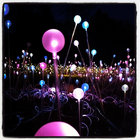 Some Heavy Ocean | Emma Ruth Rundle