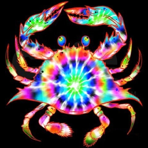 Das exponentielle Aufbauverfahren von Emotionen | Psychedelic Crab