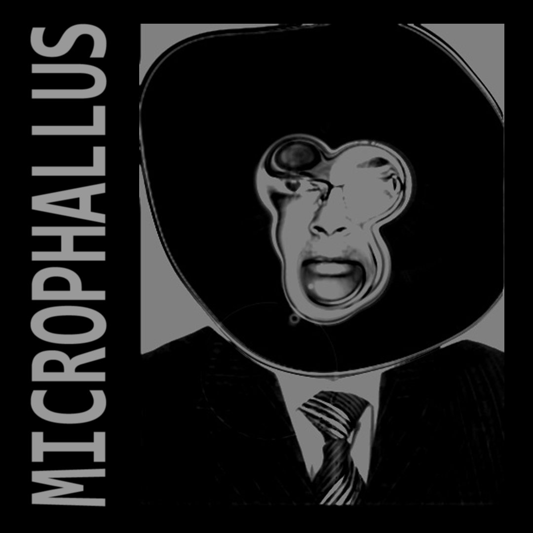 I Don't Lycra (Instrumental) | Microphallus