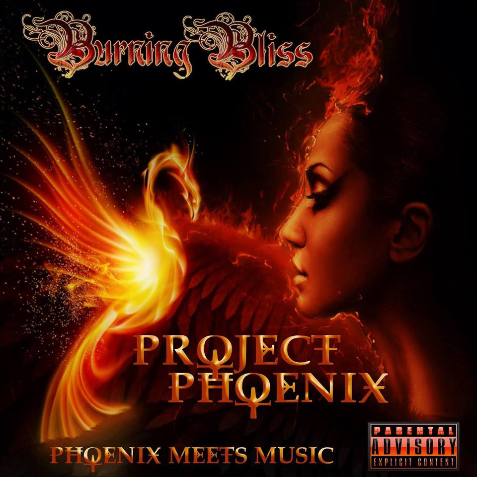 Ashes to Beauty | Various | Project Phoenix