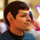 Bittersweet Reality | ASTROPHYSICS