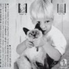 Dave Datblygu's Search In English For The House Of Tolerance | David R ...