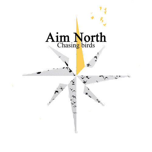 Chasing Birds | Aim North