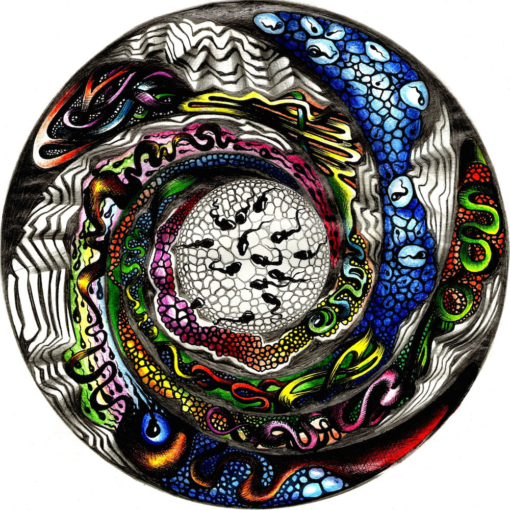 Pied Piper | Pied Piper