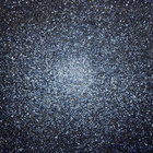 The New 4lung Album | 4lung | RAWRDCORE RECORDS