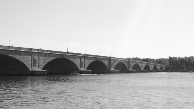 Mind Lines | Silver Scrolls