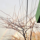 I Could Have Been A Castle | Lisa Salvo