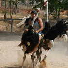 Counterfeit Arcade | Shayfer James